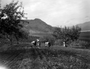 Doukhobors – Vernon Museum