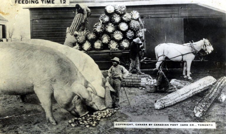 “Tall-Tale” Postcards – Vernon Museum